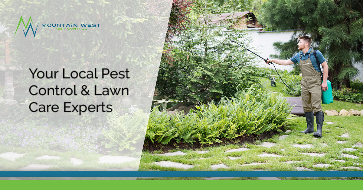 Gopher Control in Salt Lake City | Mountain West Pest Control
